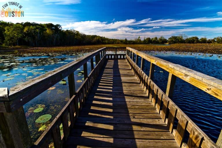 14 of the Best Nature and Hiking Trails in Houston