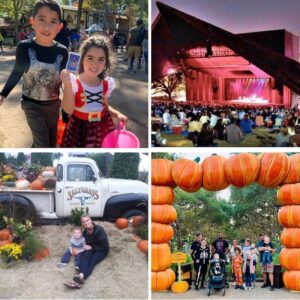 The Best Houston Area Fall Festivals in October (2023 ...