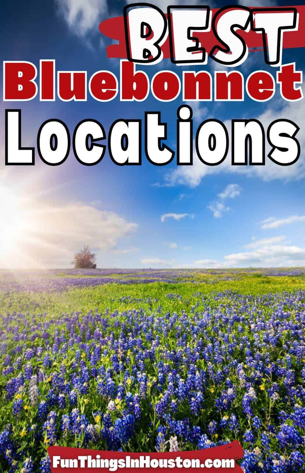 The Ten Best Places to See Bluebonnets in Texas - funthingsinhouston.com